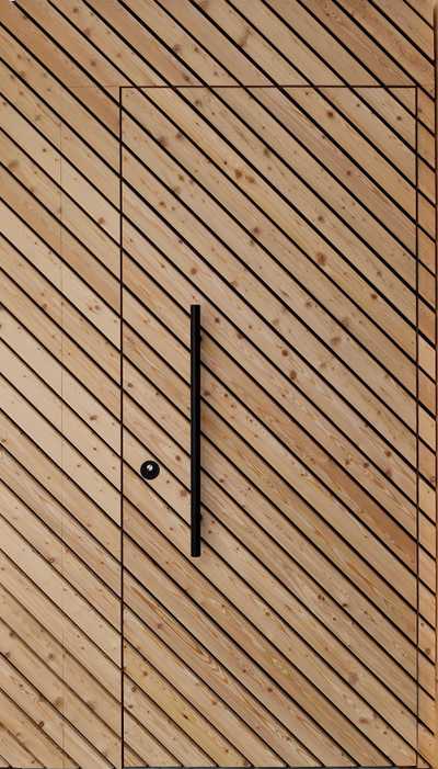 Contemporary Front Doors | INT doors